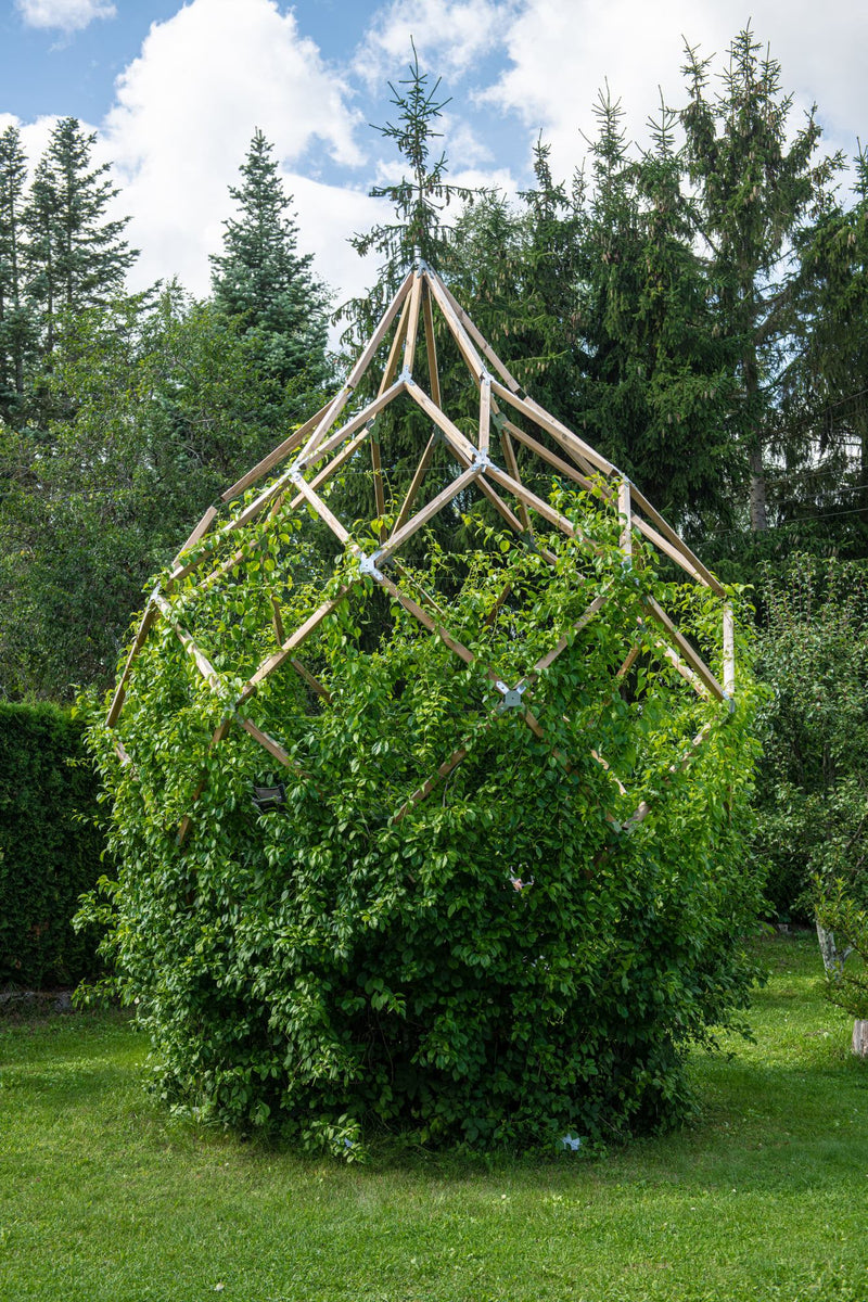 Zome System – CanAmDomes